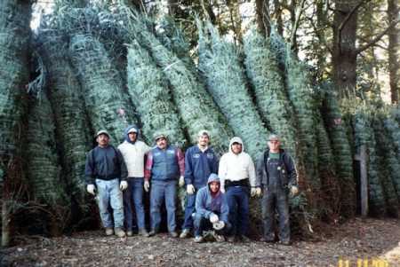 Cartner's Christmas Tree Farm