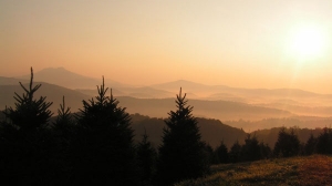 Cartner's Christmas Tree Farm