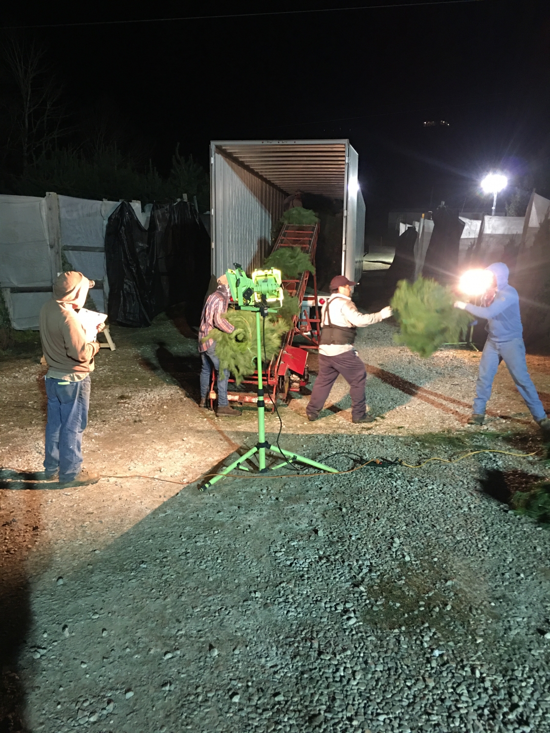 Cartner's Christmas Tree Farm